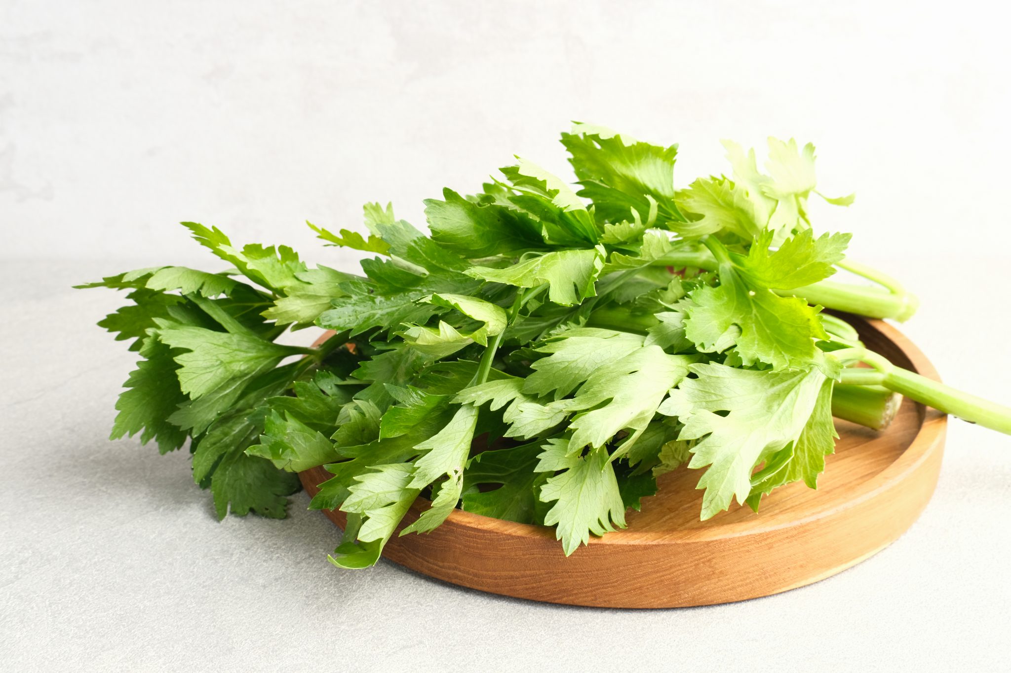 Manfaat Jus Seledri yang Perlu Kamu Ketahui & Cara Membuatnya