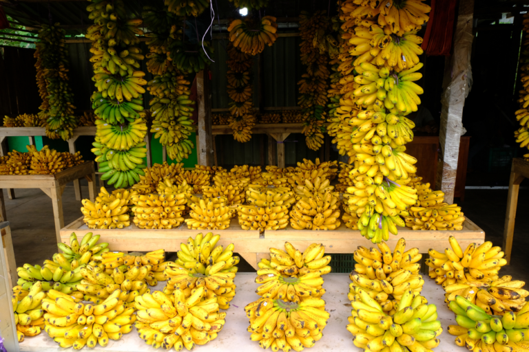 Cara Membuat Sale Pisang, Beserta Bahan dan Tipsnya