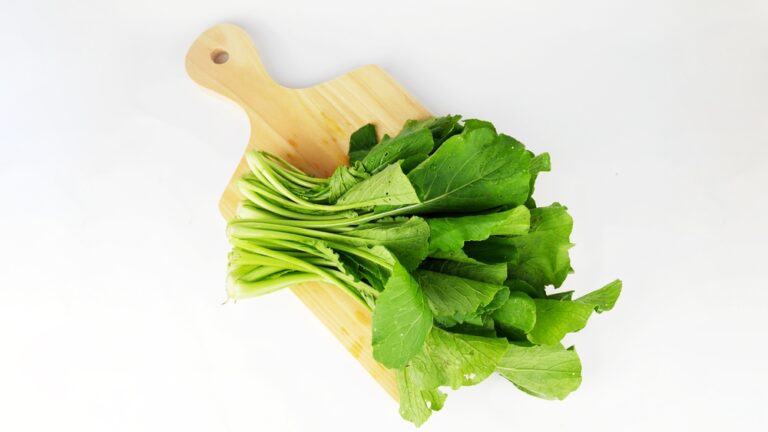 15 Macam-Macam Sayuran Yang Mempunyai Banyak Manfaat